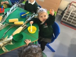 Welcome to Geography | Laureate Community Academy